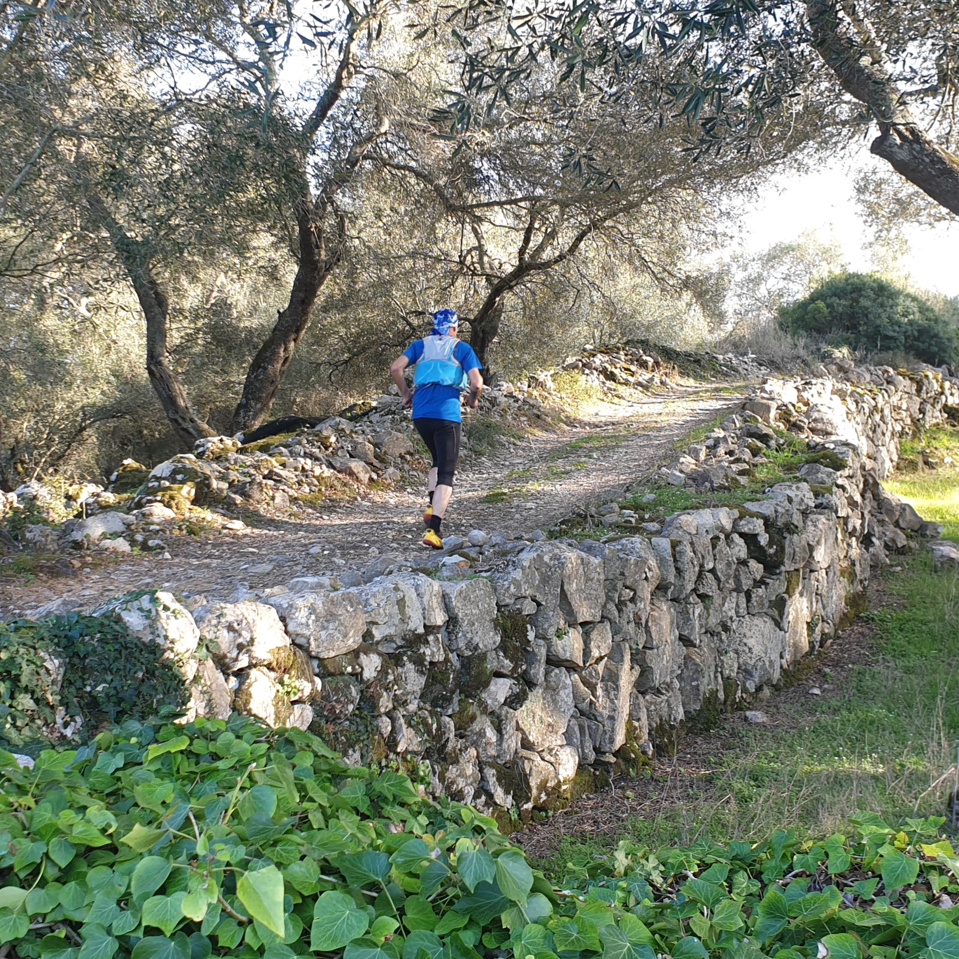 Οι διαδρομές για περιπατητές ( Corfu Mountain Trail trekking routes ...